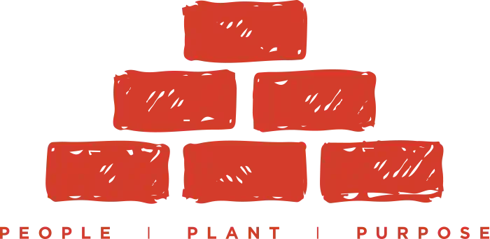 Learn About 6 Brick's Cannabis Dispensary in Springfield, MA